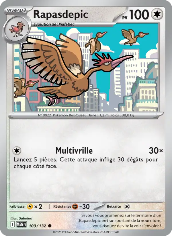 Carte Rapasdepic MEG 103 - Prix et infos - Méga-Évolution